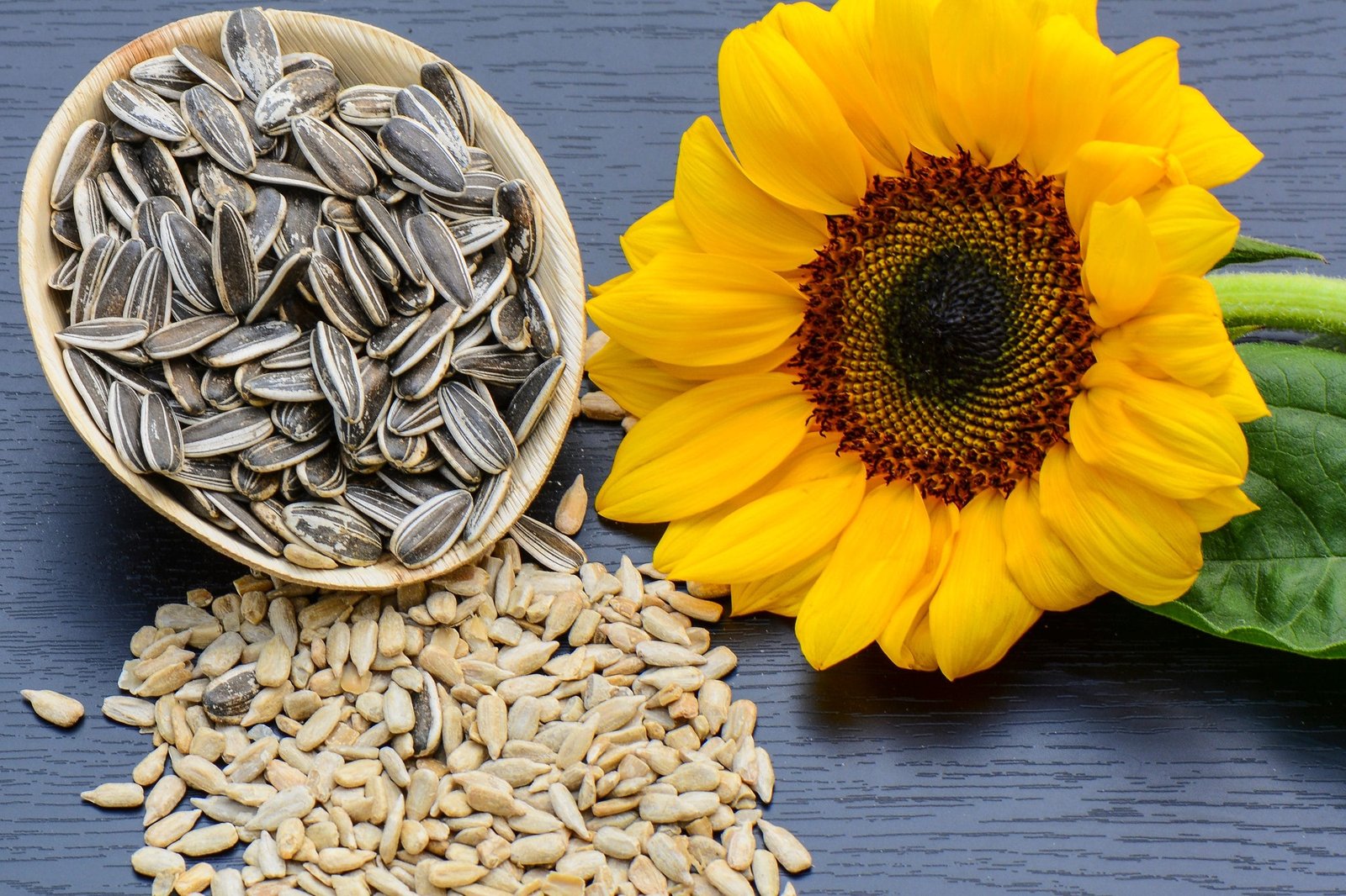 The Benefits Of Sunflower Lecithin: The Wonder Supplement - Mother Sherry